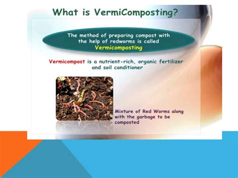 Garbage In Garbage Out Ppt Pptx