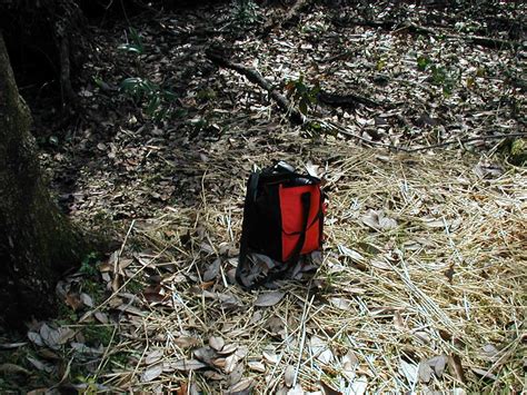 Elevation Map Of Baldwin County Al Usa Elevation Finder Topographic Map Altitude Map