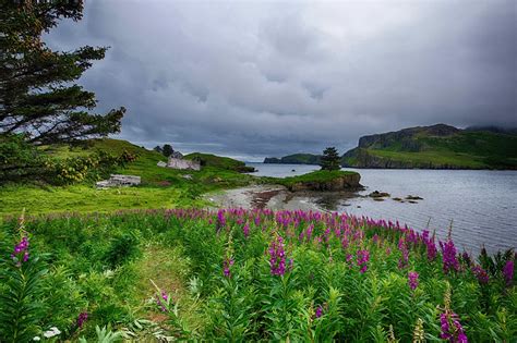 Unga Village Unga Village Nature Landing Hx Hurtigruten Expeditions Us