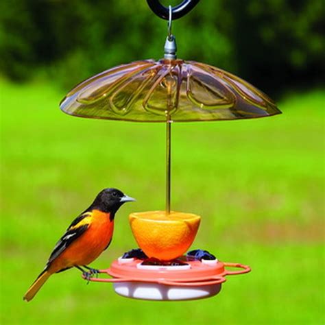 Style Selections Birdfeeder Plastic Hanging Squirrel Resistant