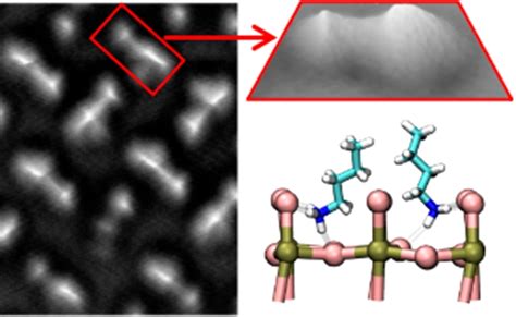 Scalable Two Step Annealing Method For Preparing Ultra High Density Single Atom Catalyst