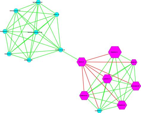 The Strongest Cluster In The Milk Bacterial Interaction Networks Of The