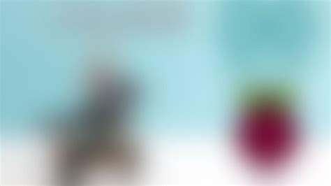 Arduino和树莓派价格 抖音