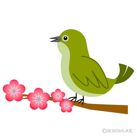 うぐいすと梅の木イラストのフリー素材｜イラストイメージ