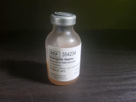 Corning® Matrigel® Basement Membrane Matrix Ldev Free 10 Ml 루사이언스