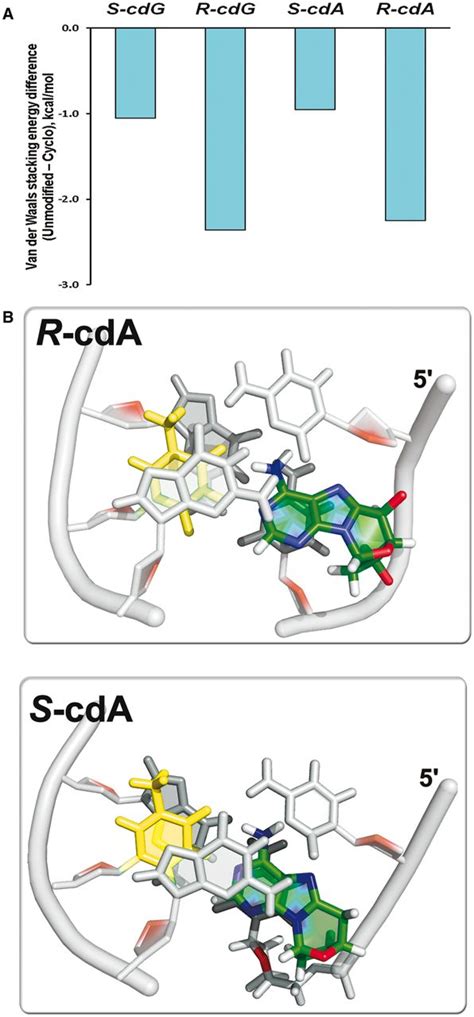 A Base Pair Stacking Interaction Energy Differences Between The Download Scientific Diagram
