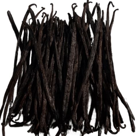 Vanilla Beans Cv Mileno Makmur Mandiri