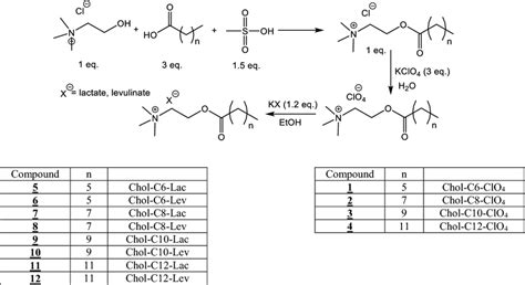Synthesis Of Choline Based Ionic Liquids Download Scientific Diagram