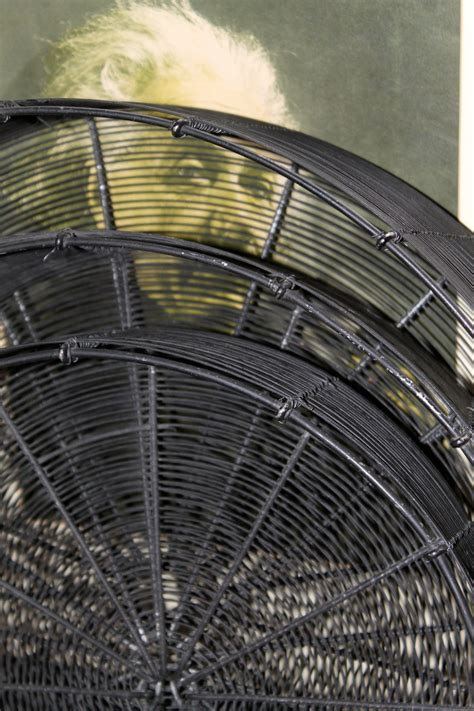 Einstein Peeking Vignettes Einstein