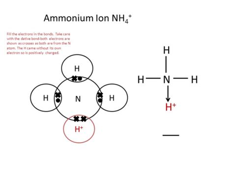 Nh4 Dot Structure