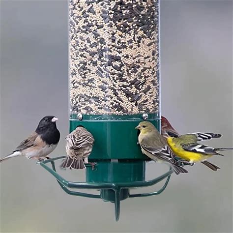 Squirrel Proof Bird Feeder Verniershop