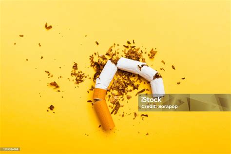 5月31日世界無煙日 禁止吸煙 關閉碎堆香煙或煙草stop符號在黃色背景與複製空間 和警告肺健康概念 照片檔及更多 上癮 照片 上癮