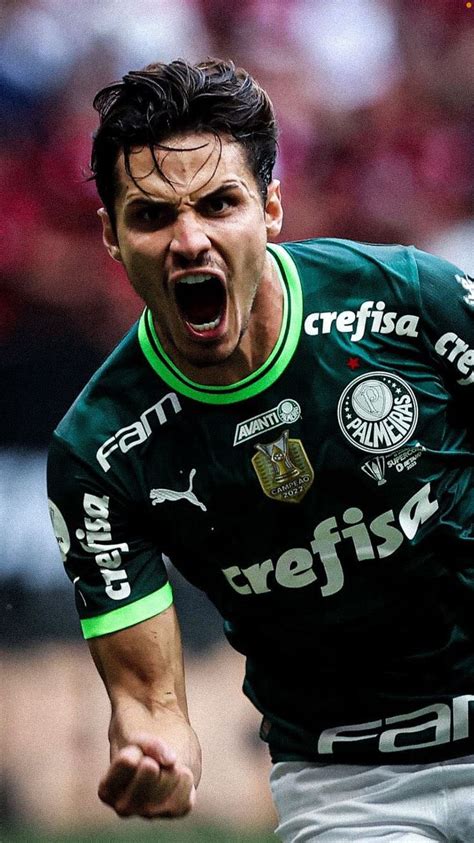 Pin Em Palmeiras