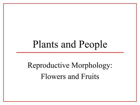 Ppt Plants And People Powerpoint Presentation Free Download Id2964045