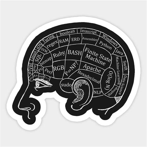 Computer Science Brain By Encodedshirts Science Stickers Computer