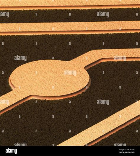 Circuit Board Coloured Scanning Electron Micrograph Sem Of Copper Paths Gold On The Surface