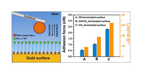 Deposition And Adhesion Of Polydopamine On The Surfaces Of Varying Wettability Acs Applied