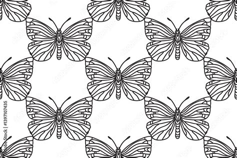 Line Art Botanical Butterflies Seamless Pattern Vector Illustration Outline Repeating Doodle