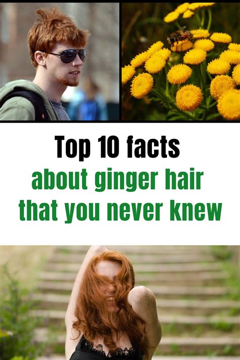 Top 10 Facts About Ginger Hair That You Never Knew Artofit