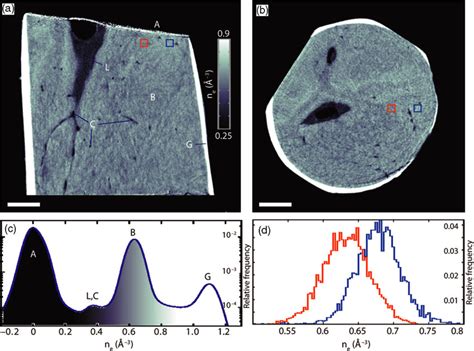 Tomographic Reconstruction And Density Histograms Provided By X Ray Download Scientific Diagram