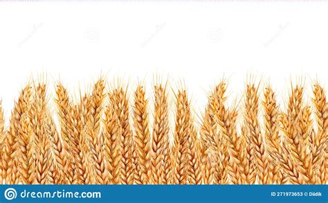 Seamless Wheat Border Watercolor Illustration Isolated On White