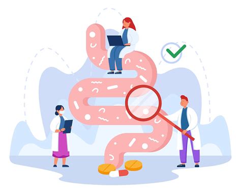 Carboidratos E Seu Impacto Na Microbiota Intestinal
