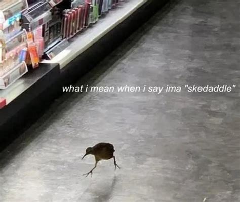 Clean Meme Drop 8 2 25 Clean Memes