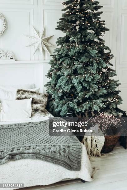 Tree Near Home Photos And Premium High Res Pictures Getty Images