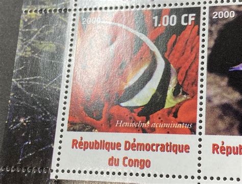 代購代標第一品牌－樂淘letao－コンゴ 2000年発行 魚 切手 2 未使用 Nh