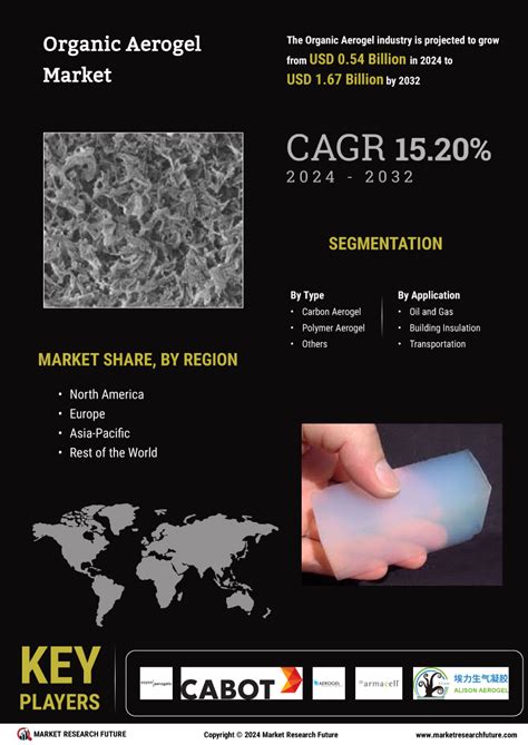 Organic Aerogel Market Size Share And Forecast Report 2035