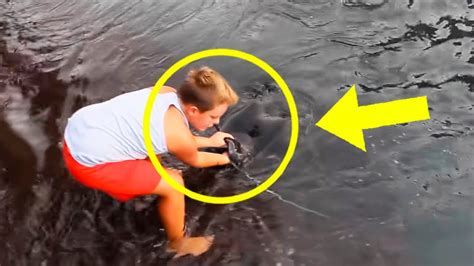 Мальчик хотел покупаться в море Как вдруг из воды выплыло НЕЧТО