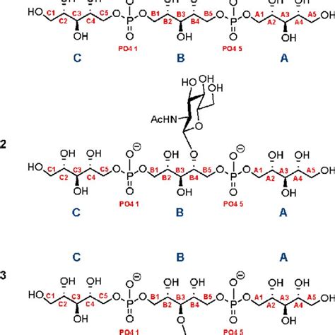 Ligands To Probe Antibody Binding The Structures Were Designed To