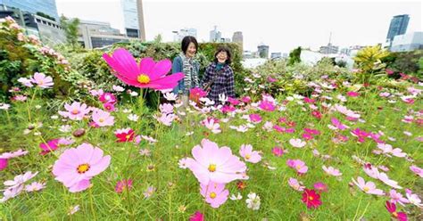 【うめきたガーデンii】秋の訪れ、一足早く演出 9月24日フィナーレ 産経ニュース