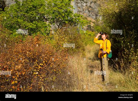 Hiker In Canyon Along Allison Creek Trail Hells Canyon Seven Devils