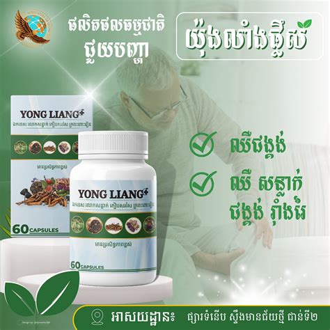 សន្លាក់សសៃ Yong Liang Plus Phnom Penh