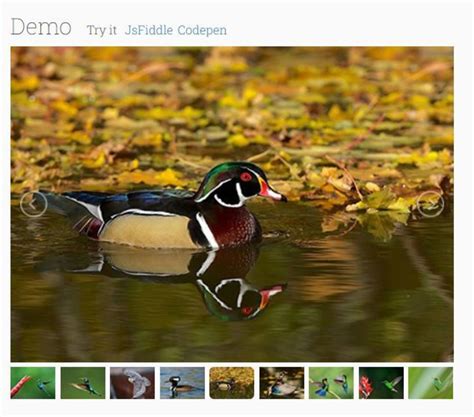Best JavaScript Image Sliders To Check Out The Ultimate List HubPages