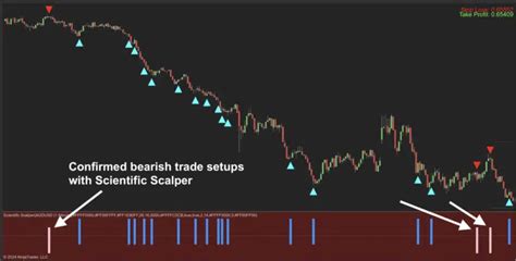 Ninjatrader 8 Indicators Enhance Your Trading With Nt Champ Membership Indicator Vault