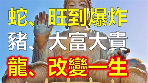 2024生肖運勢，十二生肖屬蛇人天生富貴命，屬蛇人金銀堆成山，大富特富，屬豬人天生富貴命，一生很少吃苦。屬龍人2024年發橫財中大獎，先發制人