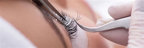 Quick Fix Sedalicious