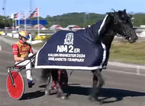 Per Vetle Fikset Nm Sølv For Grisle Tore Gl Igjerstadno Nyheter