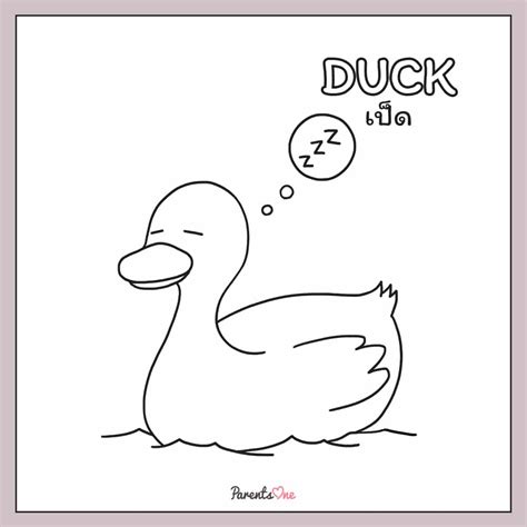 มาระบายสีกันเถอะ