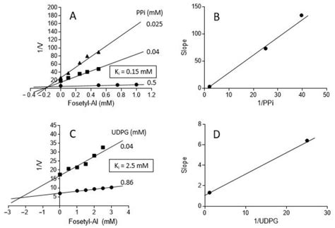 Effects Of Magnesium Pyrophosphate And Phosphonates On Pyrophosphorolytic Reaction Of Udp
