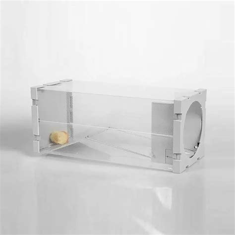Traps Board Trapper Rodent Mouse Bugs Mouse Board Sticky Rat Glue Trap