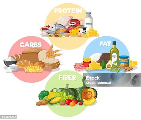 The Four Main Food Groups向量圖形及更多食物金字塔圖片 食物金字塔 健康的生活方式 健康飲食 Istock