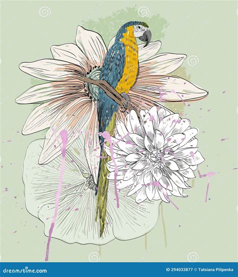 Parrot And Flowers Stock Illustration Illustration Of Feather 294033877