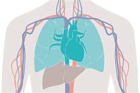 Patient Monitoring Platform Getinge