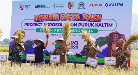 Pupuk Kaltim Sukses Tingkatkan Produktivitas Padi Di Jember Melalui