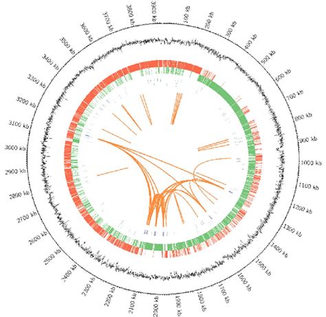 Circular Genome Map Of B Velezensis Ansb01e The Circular Map Download Scientific Diagram