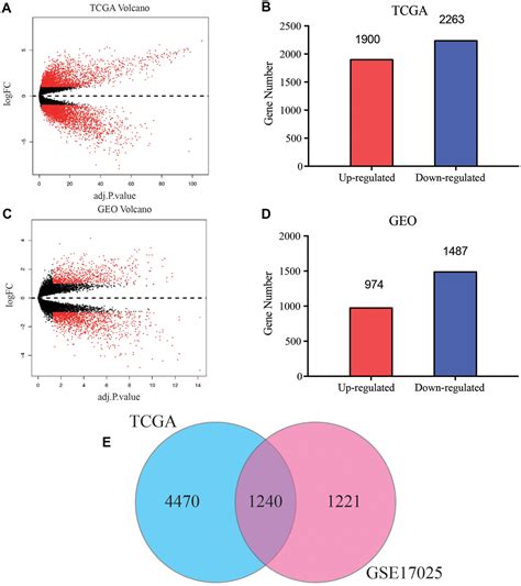 Integrated Bioinformatics Data Analysis Reveals A Risk Signature And