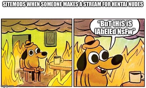 The B Ty N Des And B Bs Stream Isnt Deleted Yet Imgflip